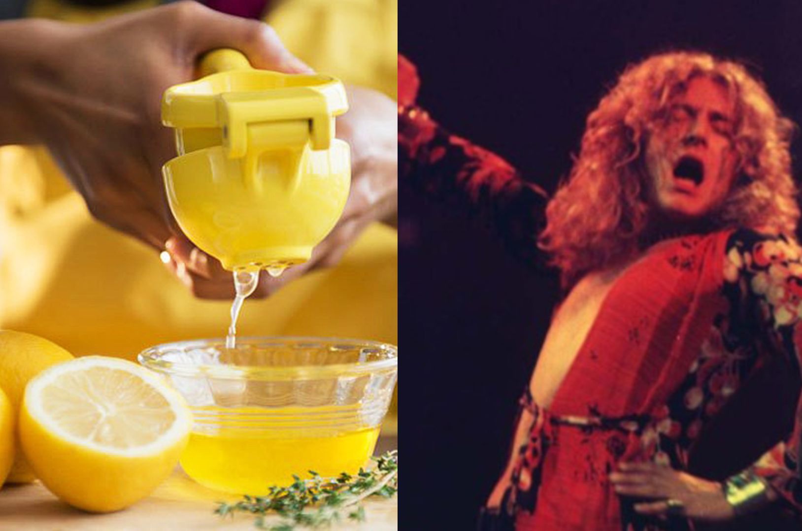 Led Zeppelin Fans Horrified To Hear That “Lemon Song” Actually About ...