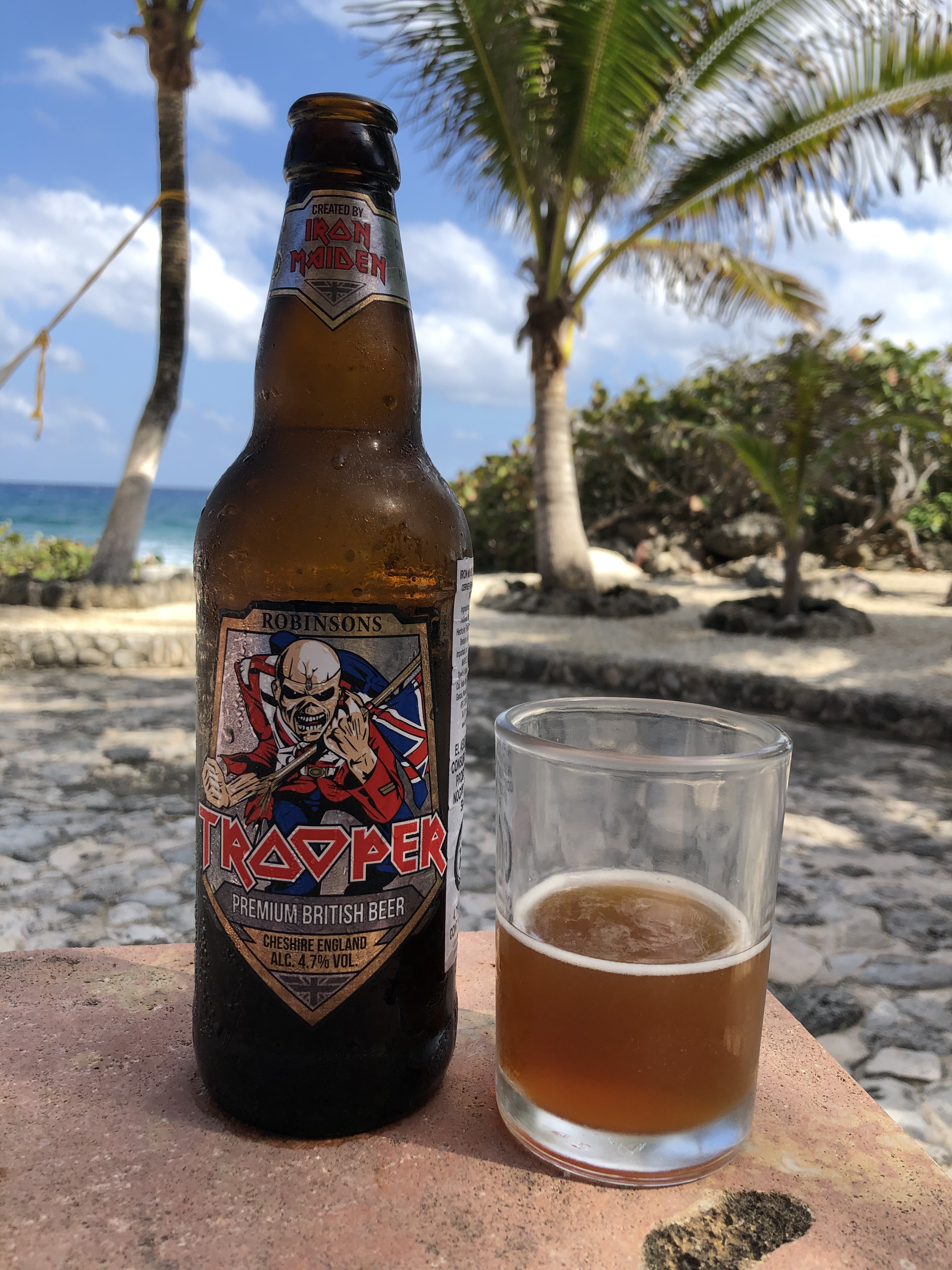 Beer Review from Mexico: Robinsons’ Iron Maiden ‘Trooper’ Premium ...