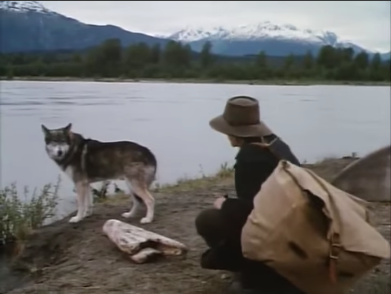 Rockwood Cinema Review: White Fang (1991) – Dougie Boom's Cottage ...